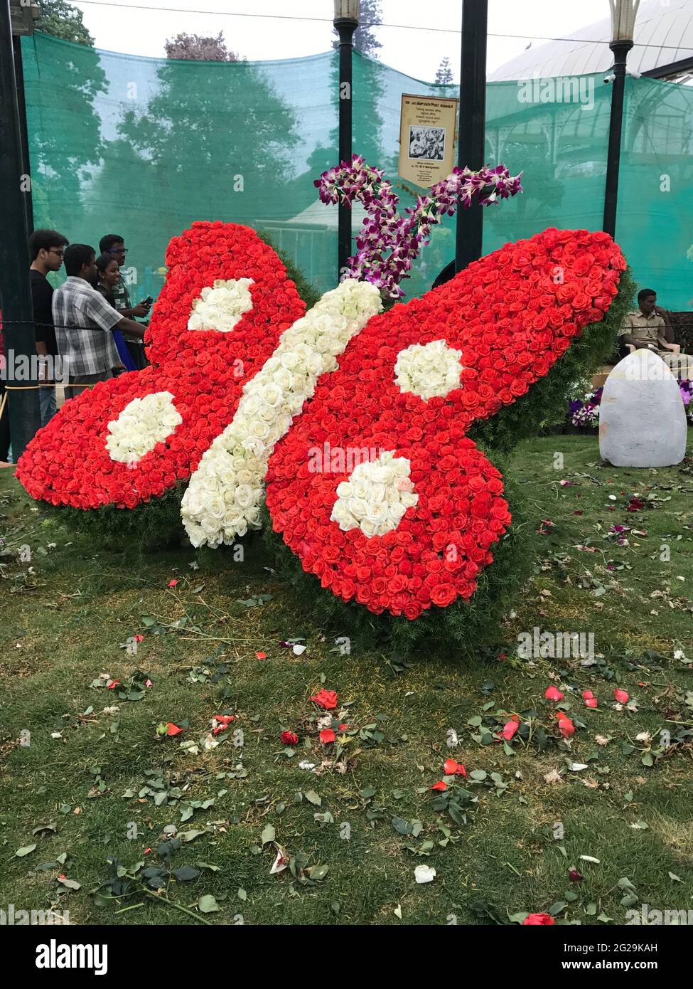 Flower show with beautiful floral decoration Stock Photo - Alamy