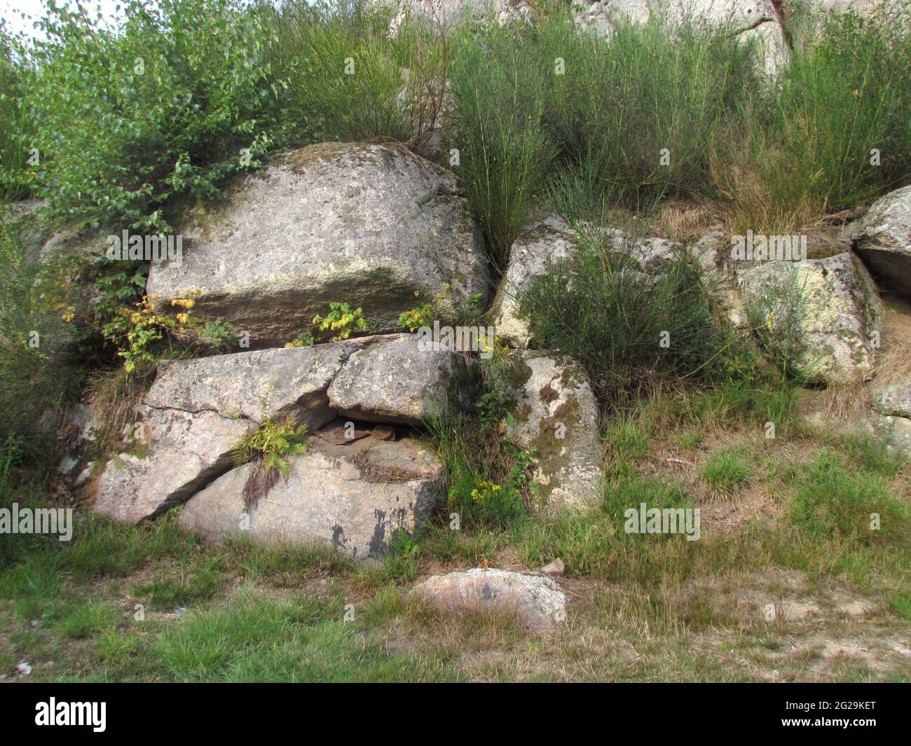 Stones in nature hi-res stock photography and images - Alamy