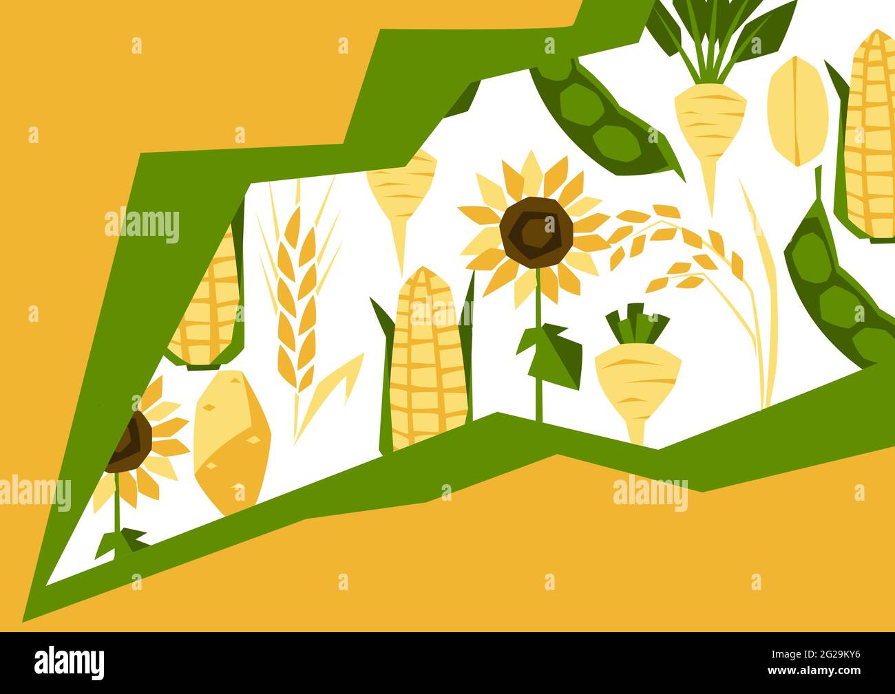 Background with agricultural crops. Harvesting stylized illustration ...