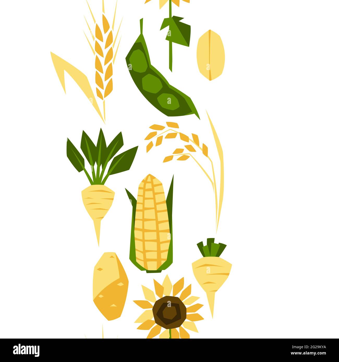Seamless pattern with agricultural crops. Harvesting background Stock ...