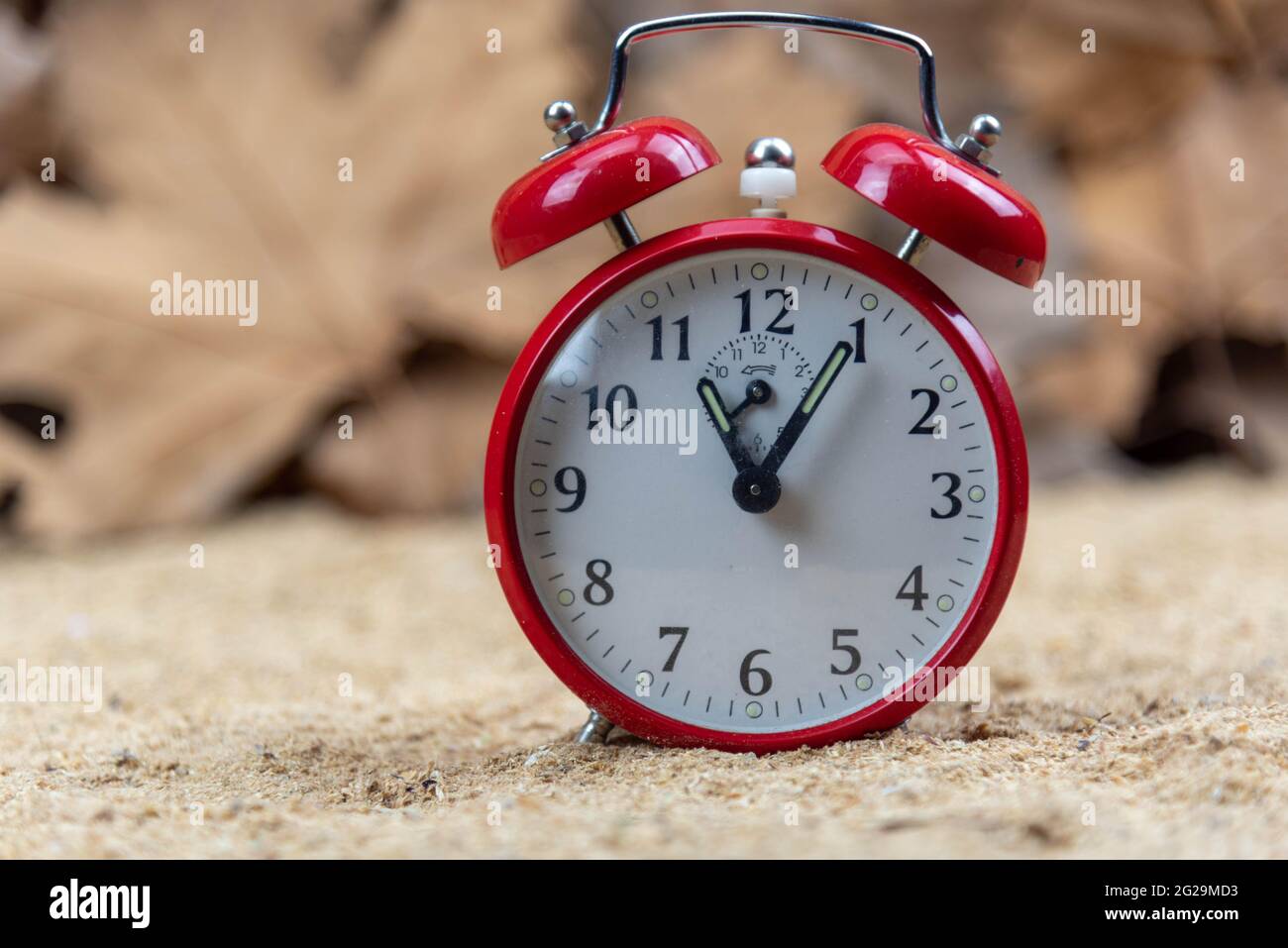 Red analog clock and maple leaves in the background. Autumn leaves and ...