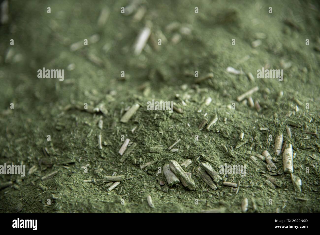 Yerba mate ilex paraguariensis ground and ready for consumption. Yerba ...