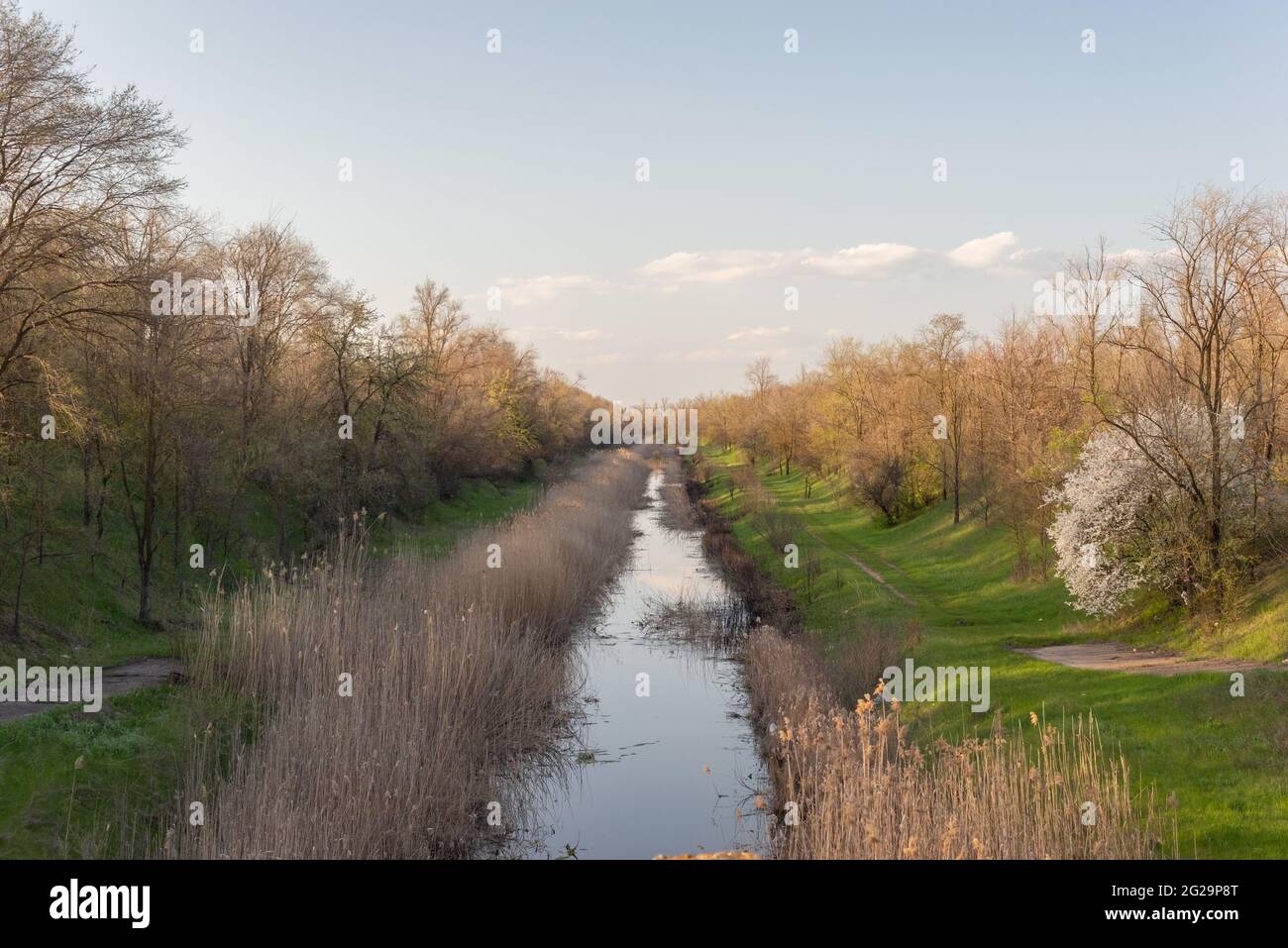summer landscape of a narrow river, with trees and grass, rural ...