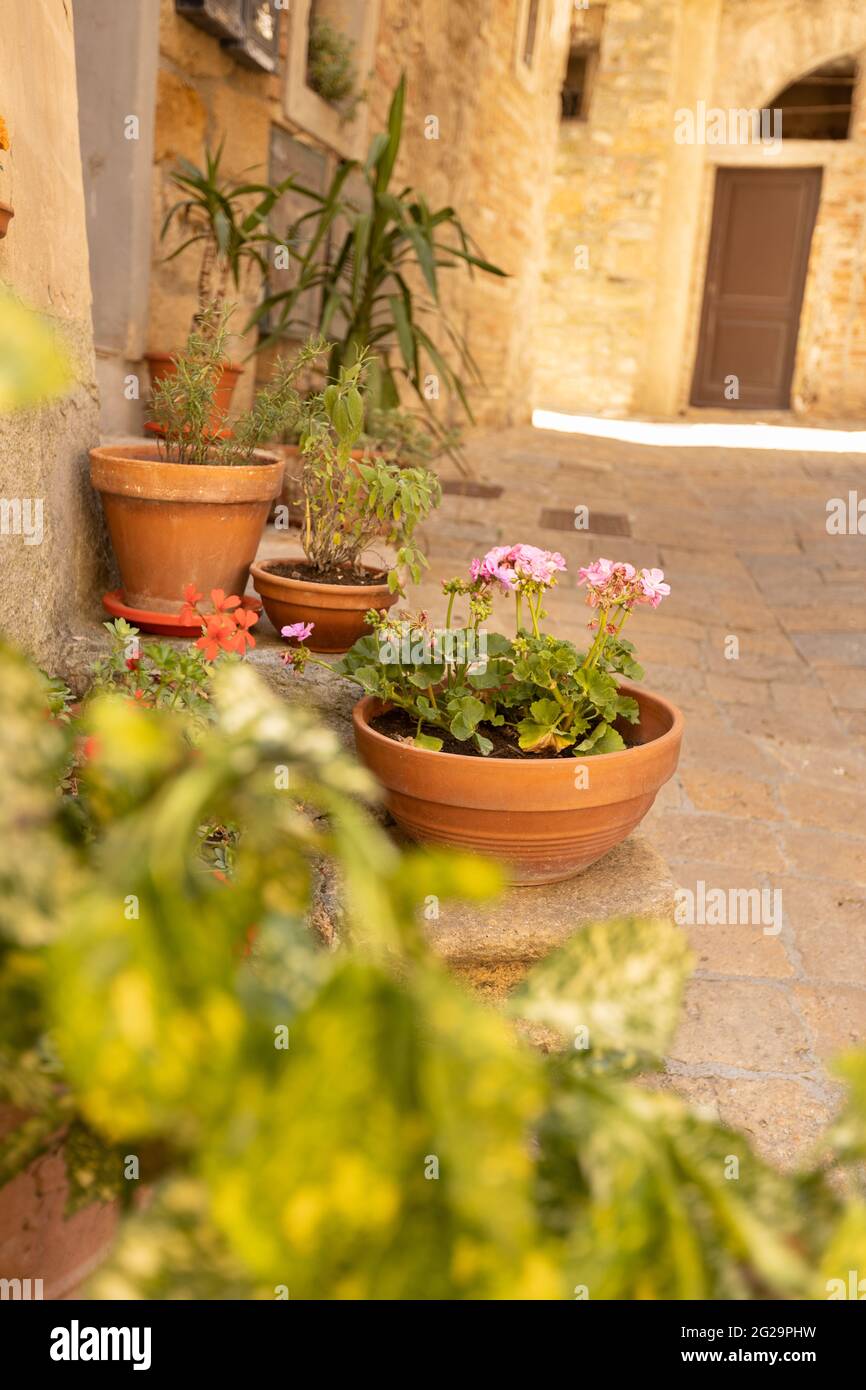 Flower pots in an alley in the medieval city of Volterry, Tuscany ...
