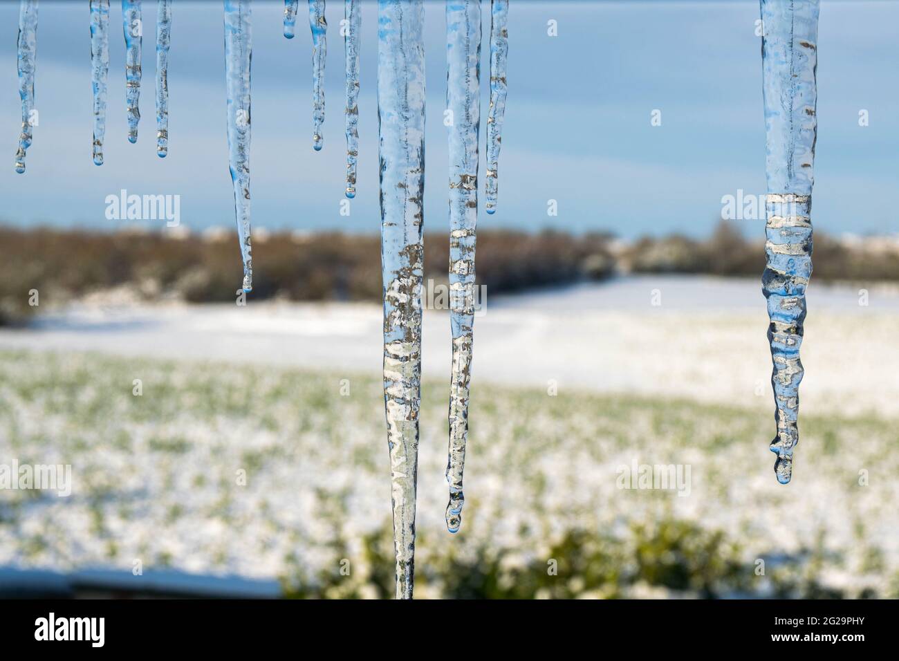 Icicle close up with detail. Ice spike hanging. Frozen water in large ...