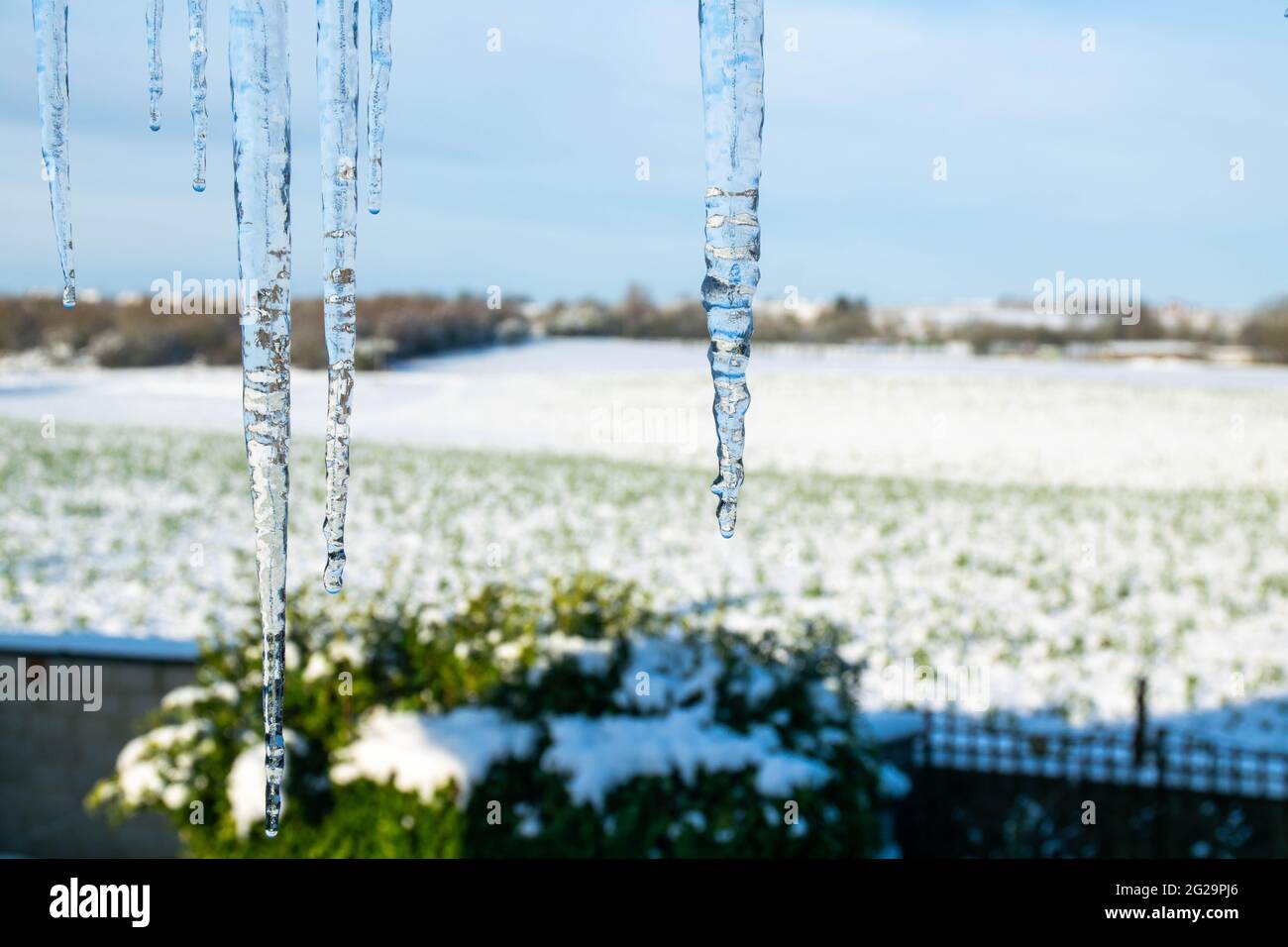 Icicle close up with detail. Ice spike hanging. Frozen water in large ...