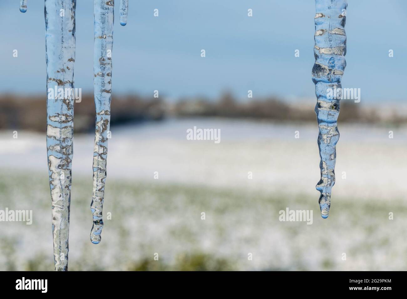Icicle close up with detail. Ice spike hanging. Frozen water in large ...