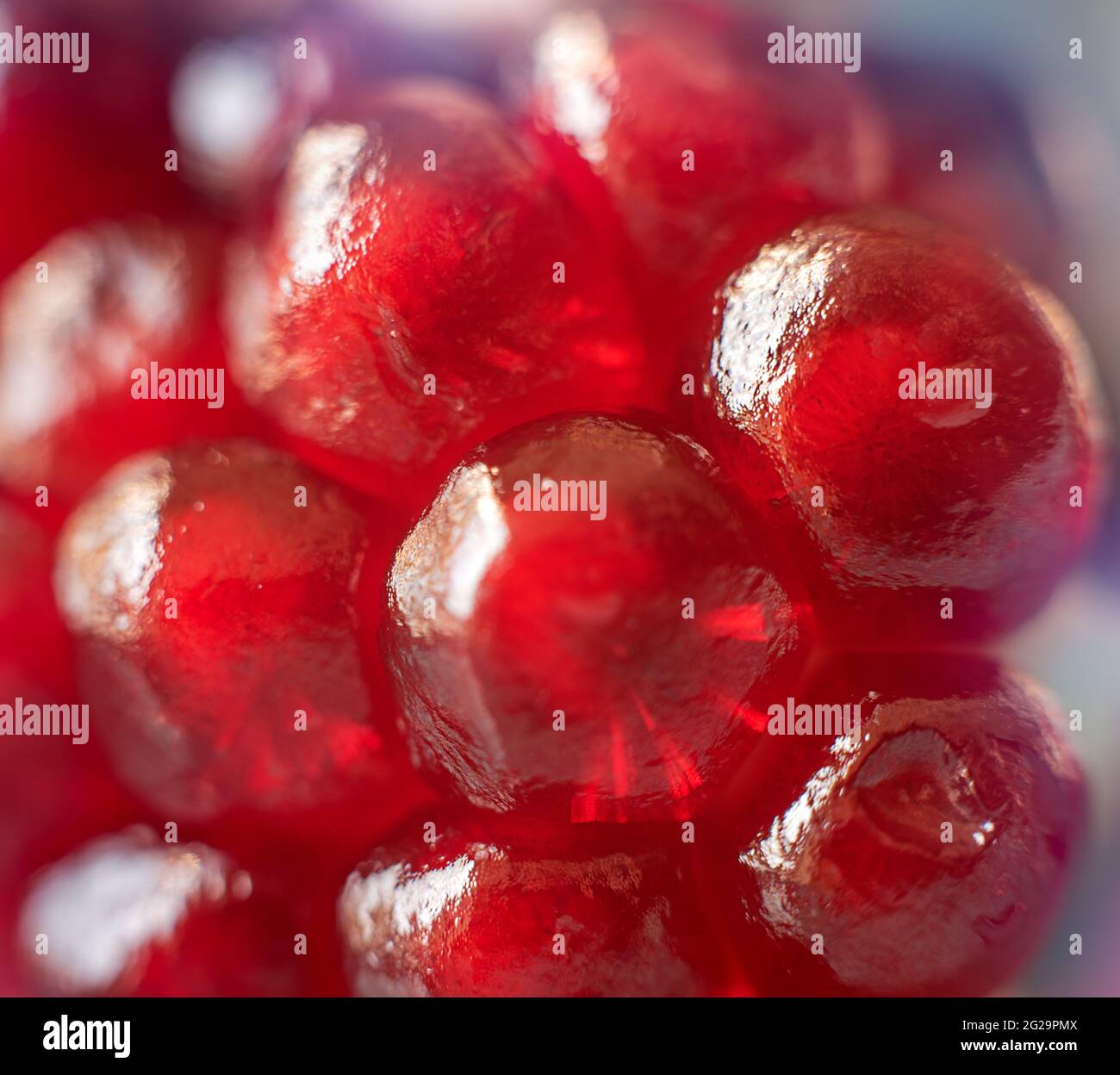 Pomegranate segment hi-res stock photography and images - Alamy