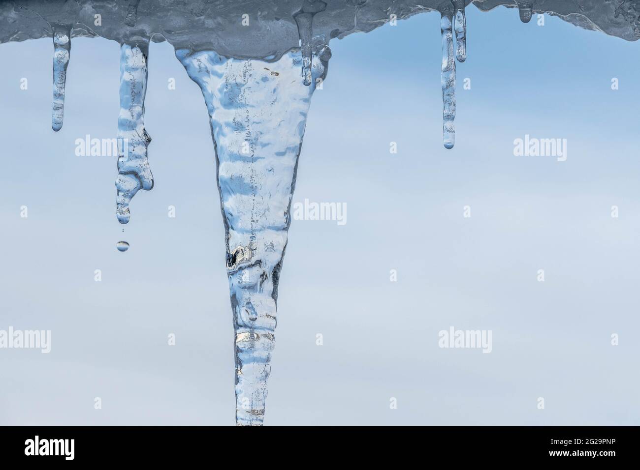 Icicle close up with detail. Ice spike hanging. Frozen water in large ...