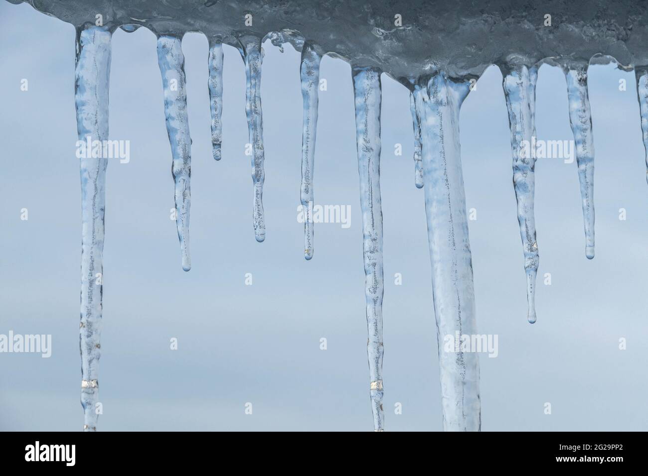 Icicle close up with detail. Ice spike hanging. Frozen water in large ...