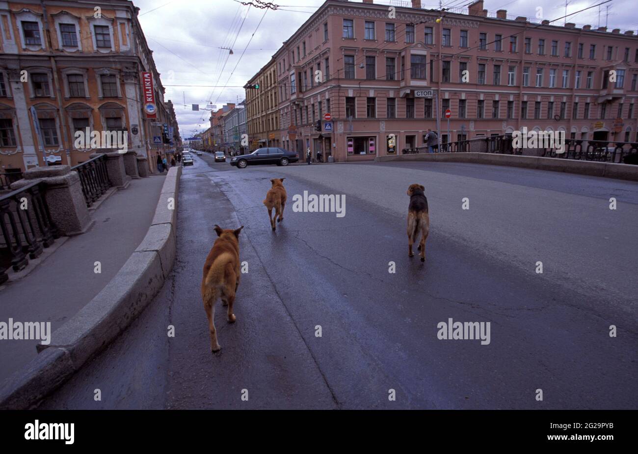 Dogs loose hi-res stock photography and images - Alamy