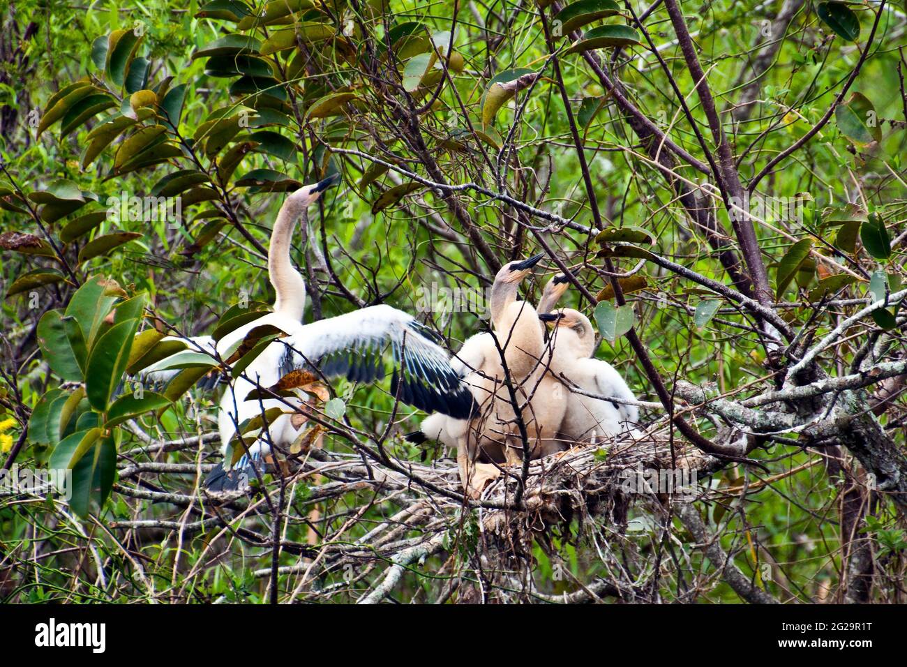 Shark valley visitor center hi-res stock photography and images - Alamy