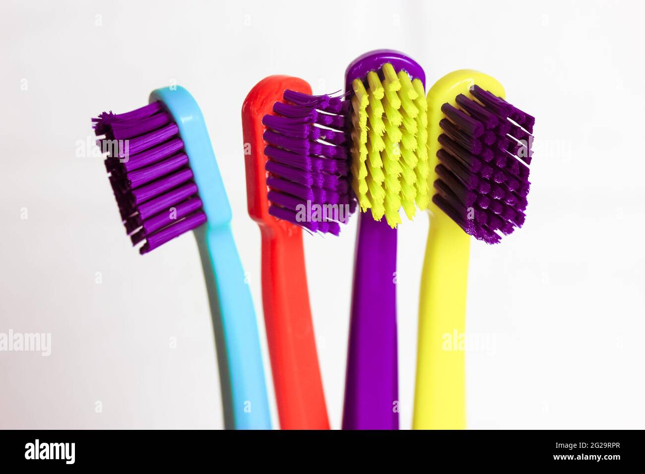 Set of plastic multicolored toothbrushes - green, blue, red, purple ...