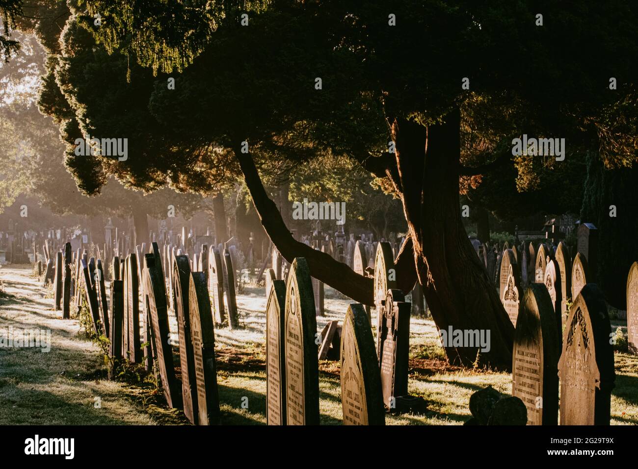 Southern Cemetery, Manchester Stock Photo - Alamy