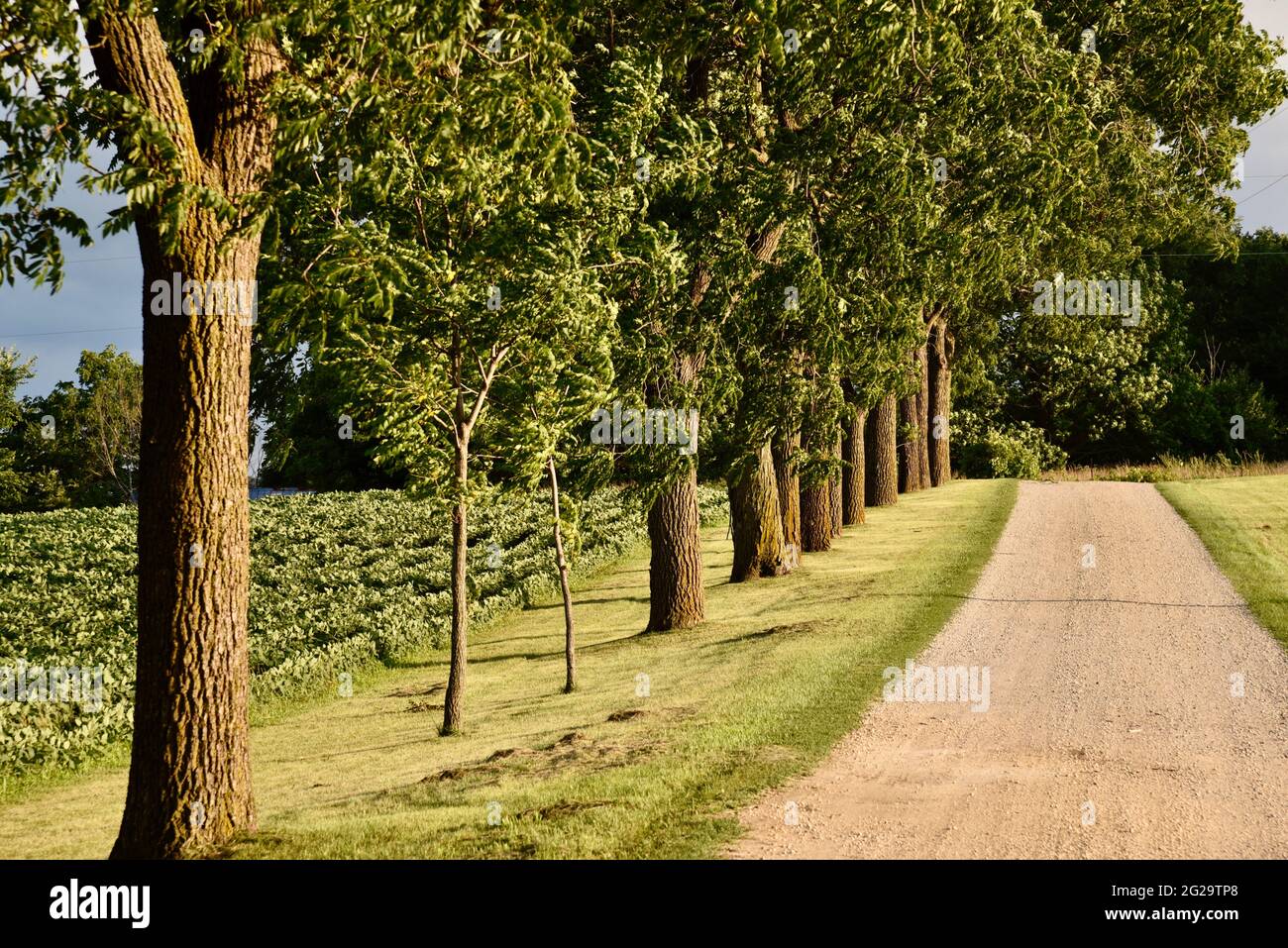 Adjacent crops hi-res stock photography and images - Alamy