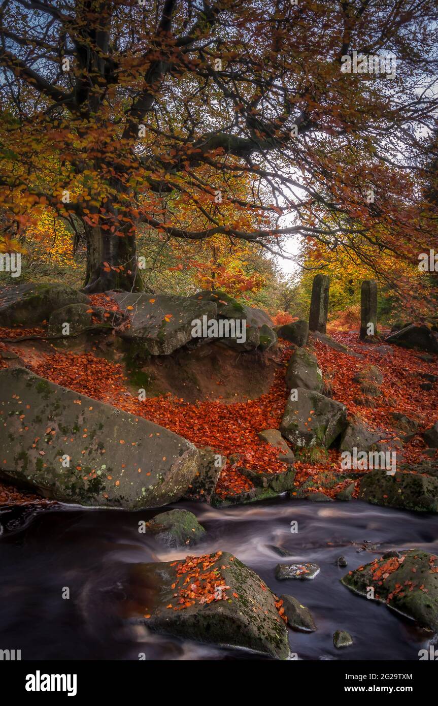 Padley park hi-res stock photography and images - Alamy