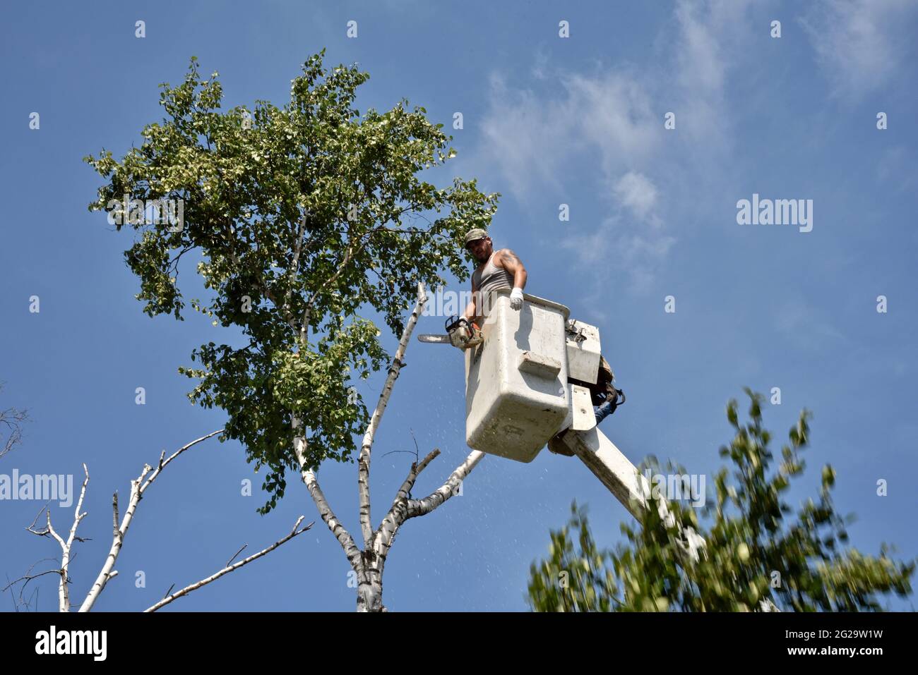 Hydraulic platform to cut tree branches hi-res stock photography and ...