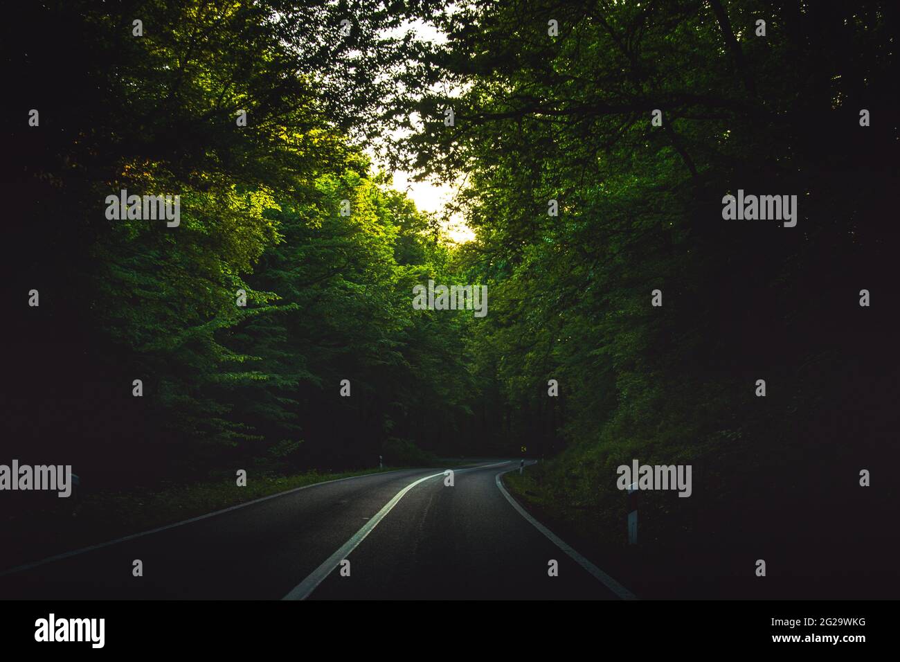 Road construction through forest hi-res stock photography and images ...