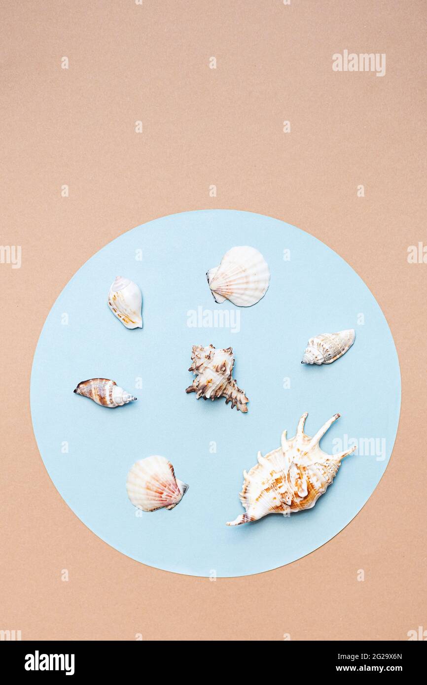 Flat top shells hi-res stock photography and images - Alamy