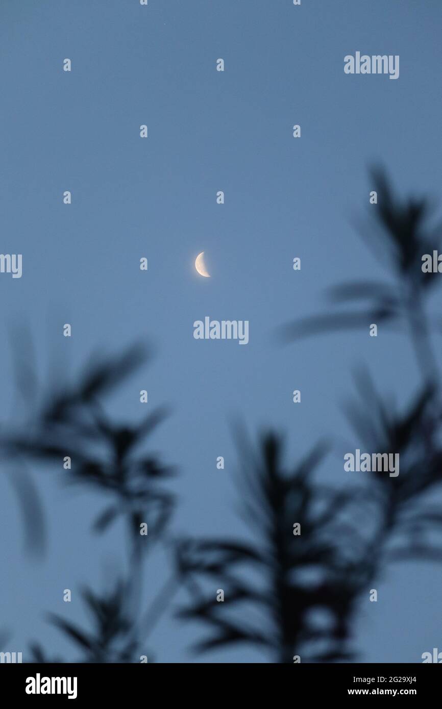 Aesthetic Moon .Morning view of a half moon Stock Photo - Alamy