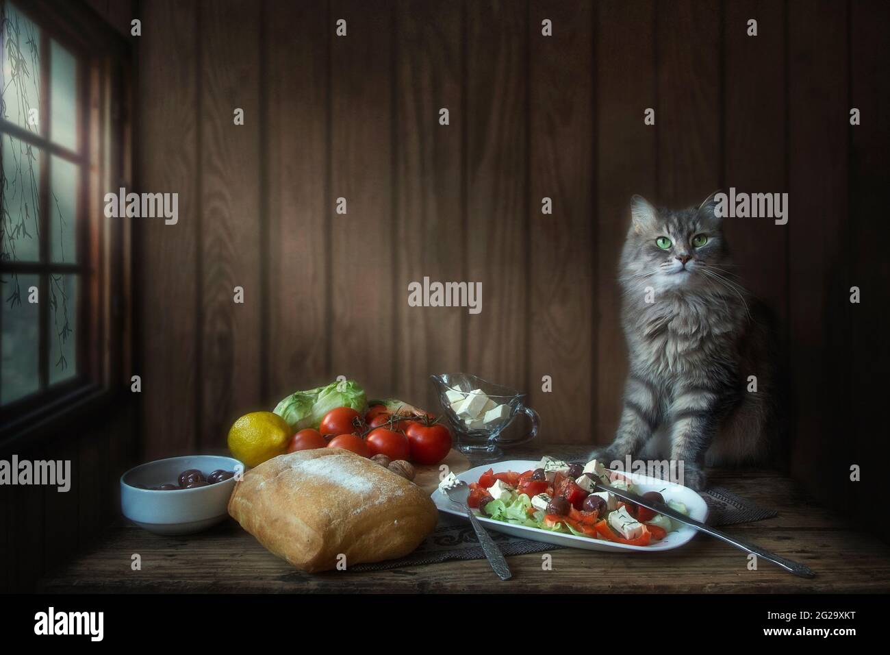 Still life with dinner table with curious kitty Stock Photo - Alamy