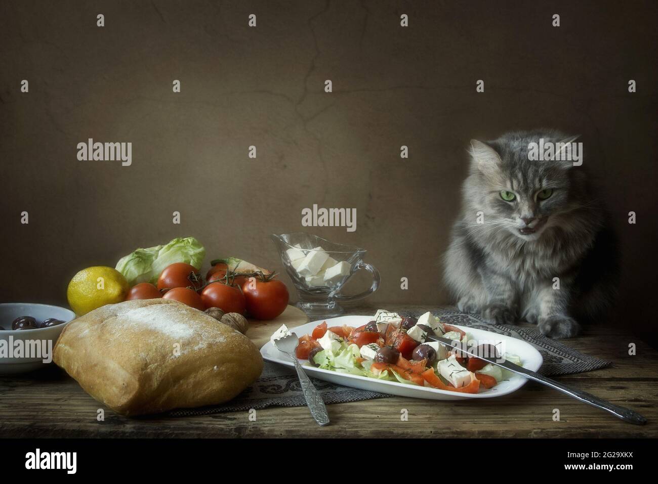 Still life with dinner table with curious kitty Stock Photo - Alamy
