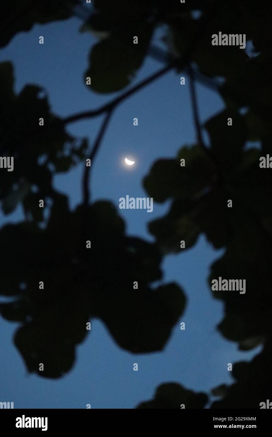 Aesthetic moon hi-res stock photography and images - Alamy