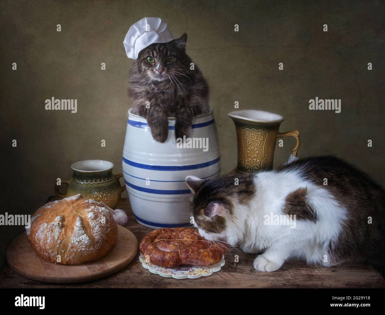 Two cats on the kitchen rustic table Stock Photo - Alamy