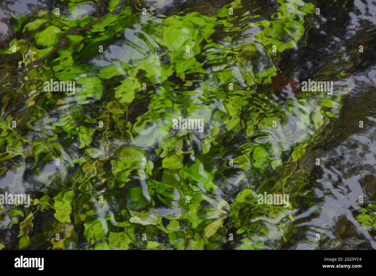 Clear riverbed hi-res stock photography and images - Alamy