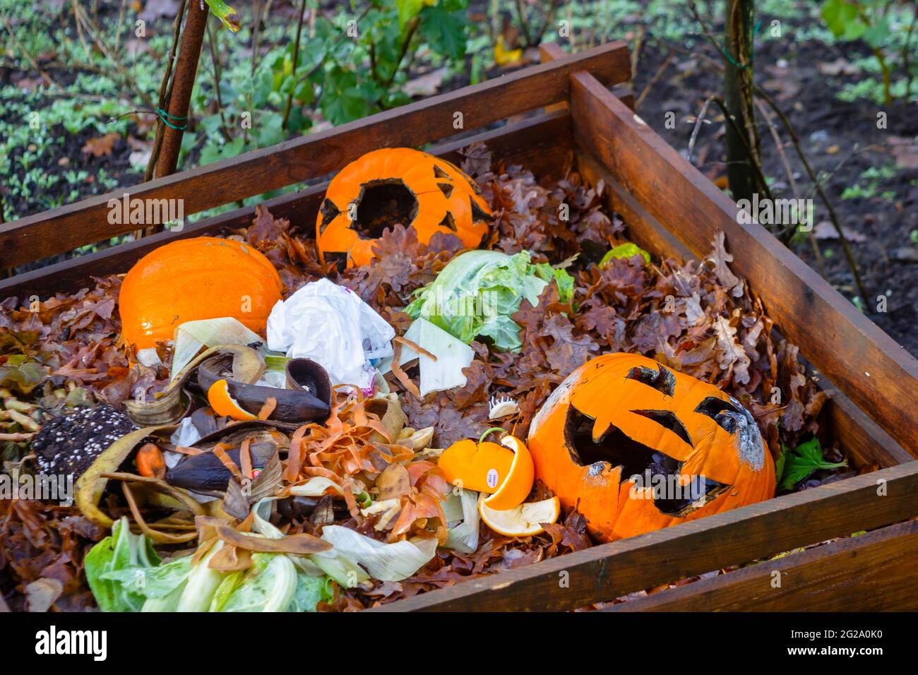 Rot rotting compost decay hi-res stock photography and images - Alamy