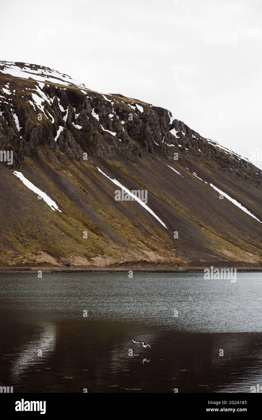 Birds ripple calm lake hi-res stock photography and images - Alamy