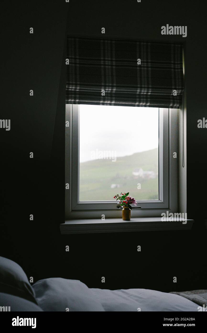 Fragrant wildflowers hi-res stock photography and images - Alamy