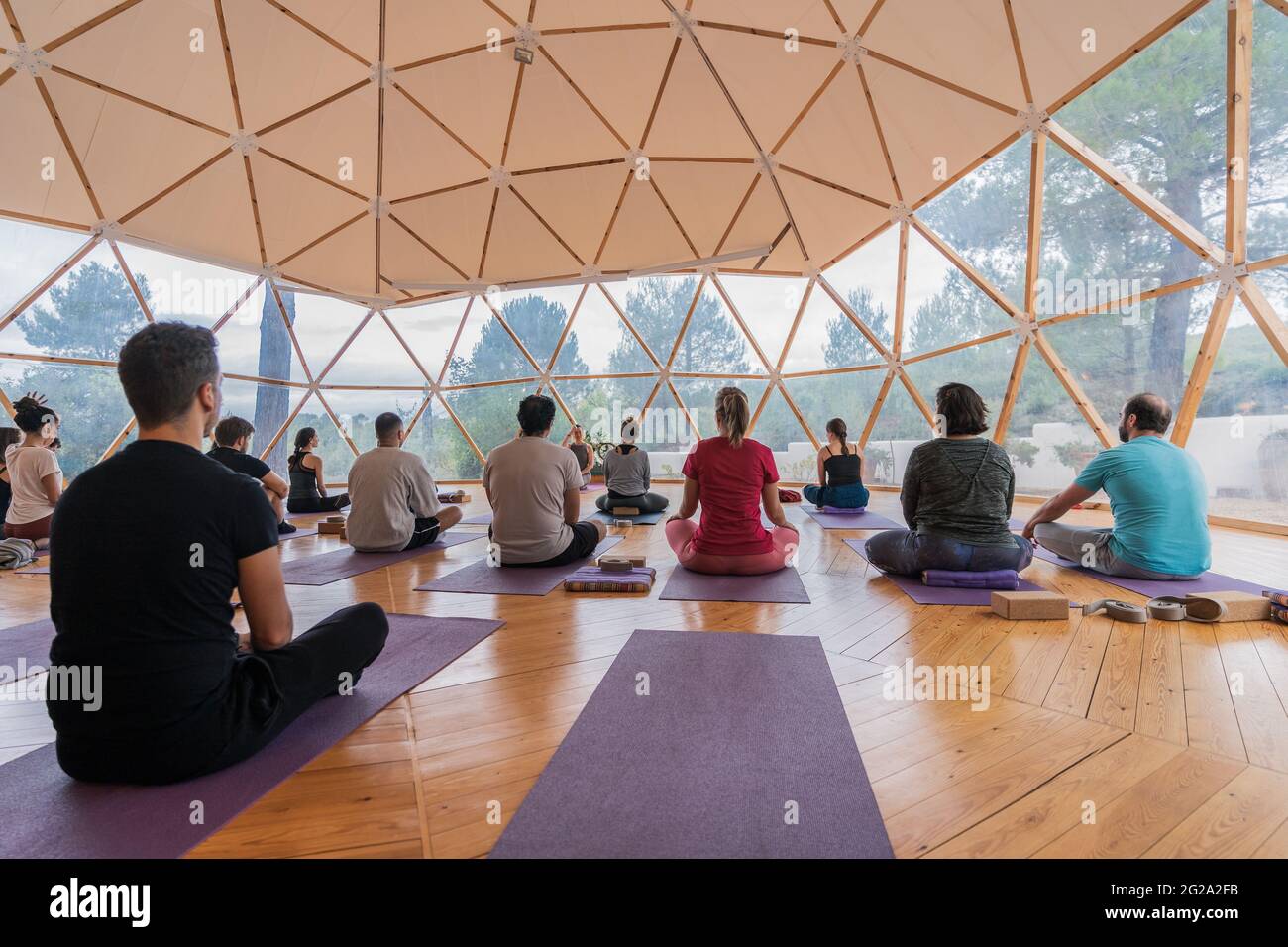 Back view of concentrated group of people sitting in lotus posture and ...