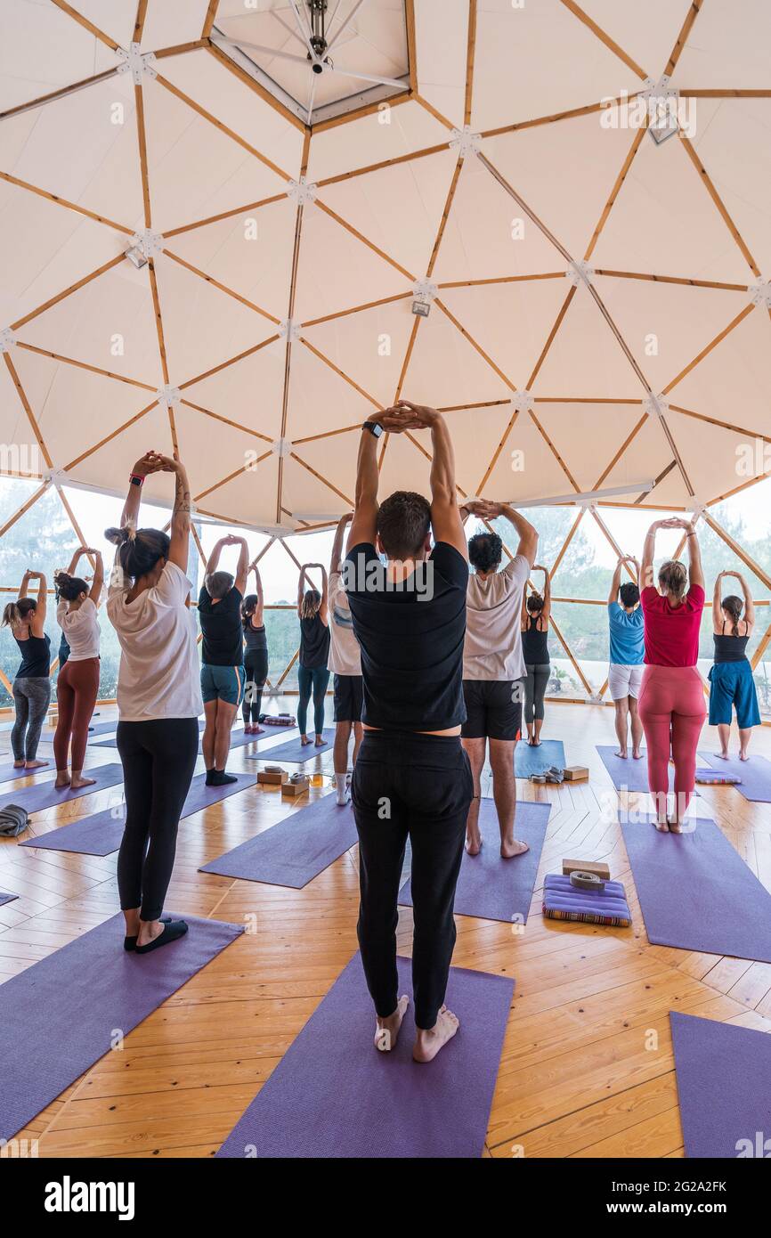 Back view of balanced group of people concentrated on stretching ...