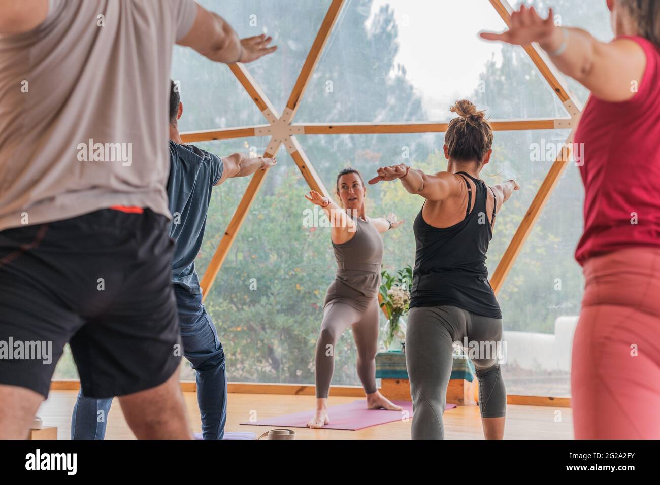 Back view of balanced group of people concentrated on stretching ...