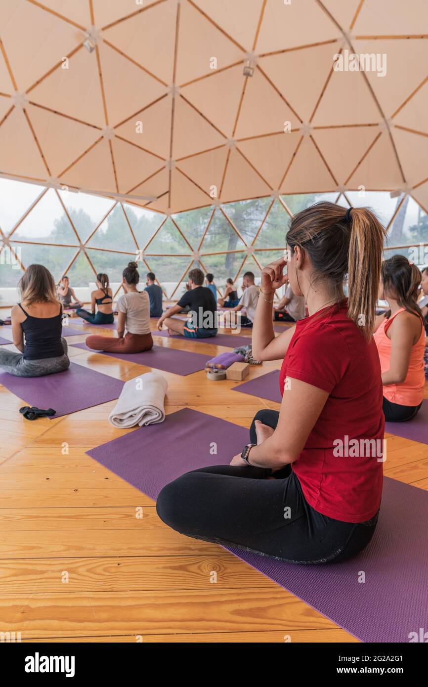 Back view of concentrated group of people sitting in lotus posture and ...