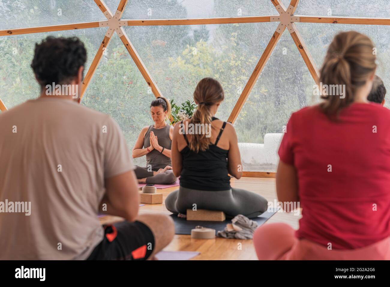 Back view of concentrated group of people sitting in lotus posture and ...