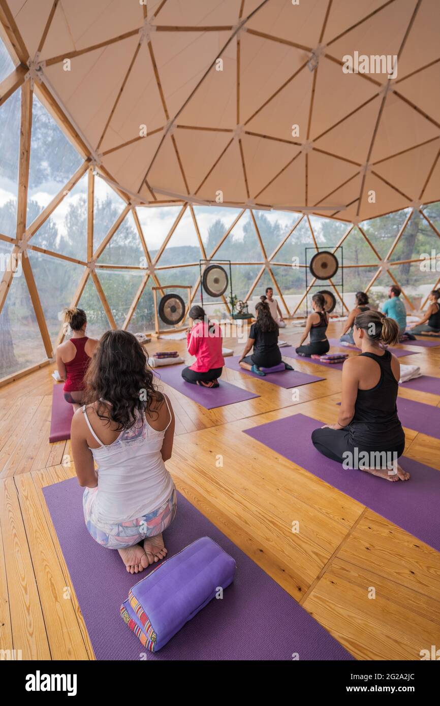 Back view of concentrated group of people sitting in lotus posture and ...