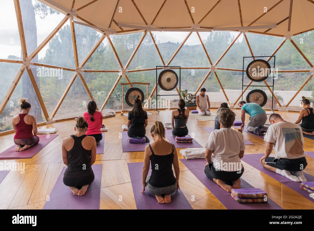 Back view of concentrated group of people sitting in lotus posture and ...