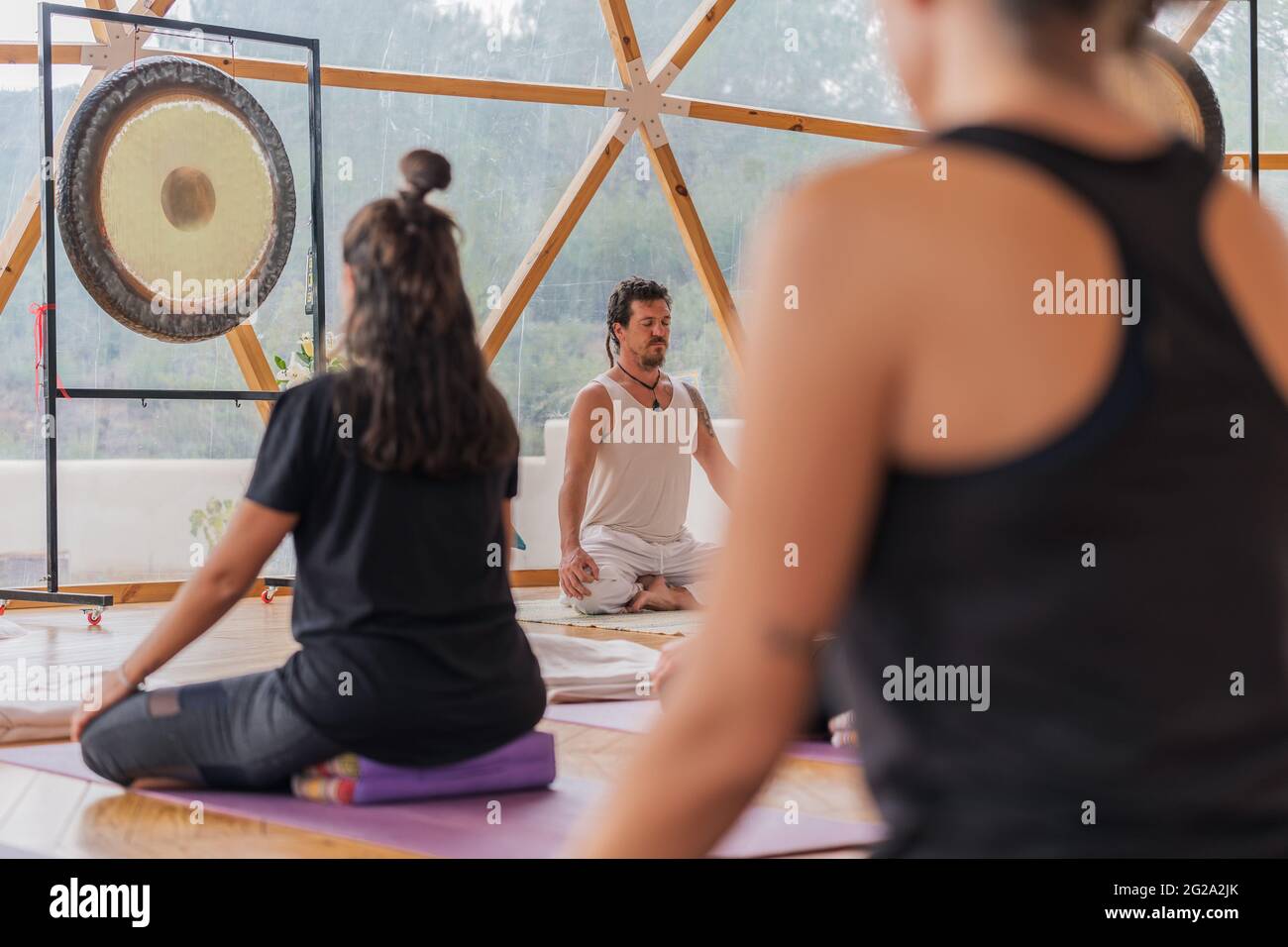 Back view of concentrated group of people sitting in lotus posture and ...