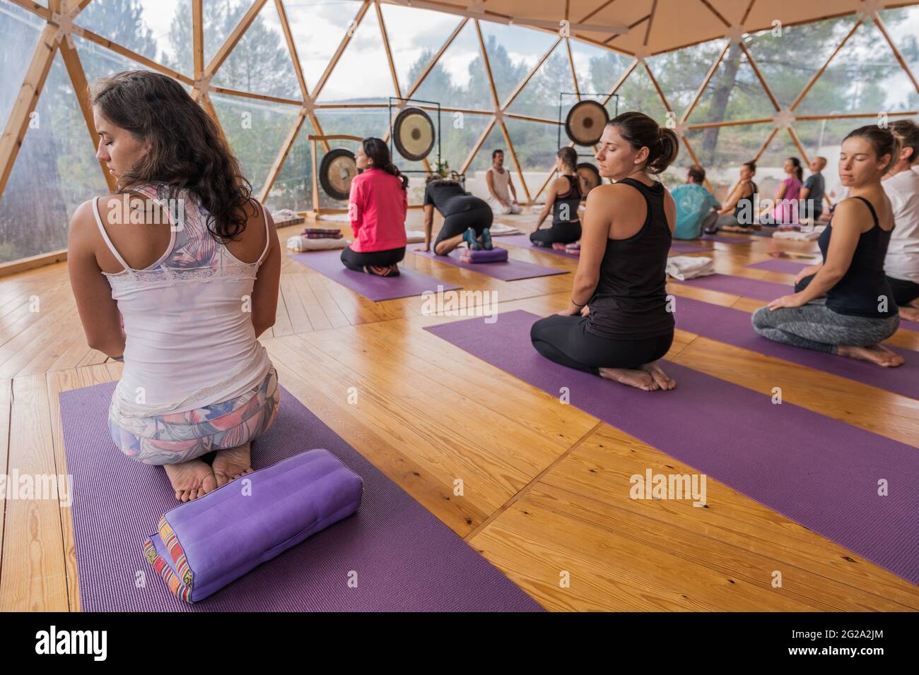 Side view of concentrated group of people sitting in lotus posture and ...