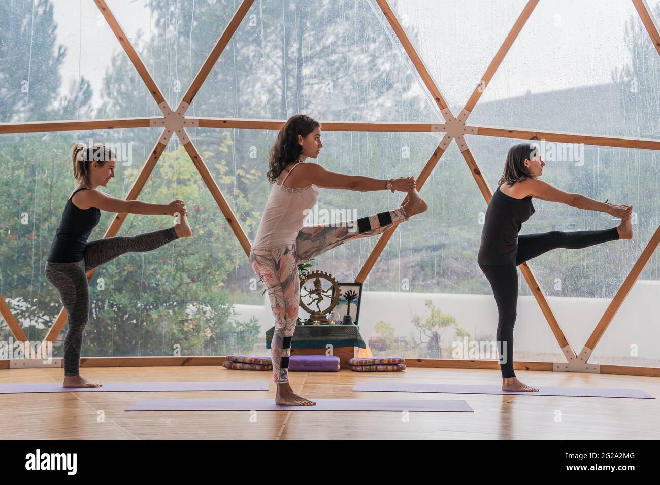 Side view of balanced flexible women raising leg up and holding feet ...