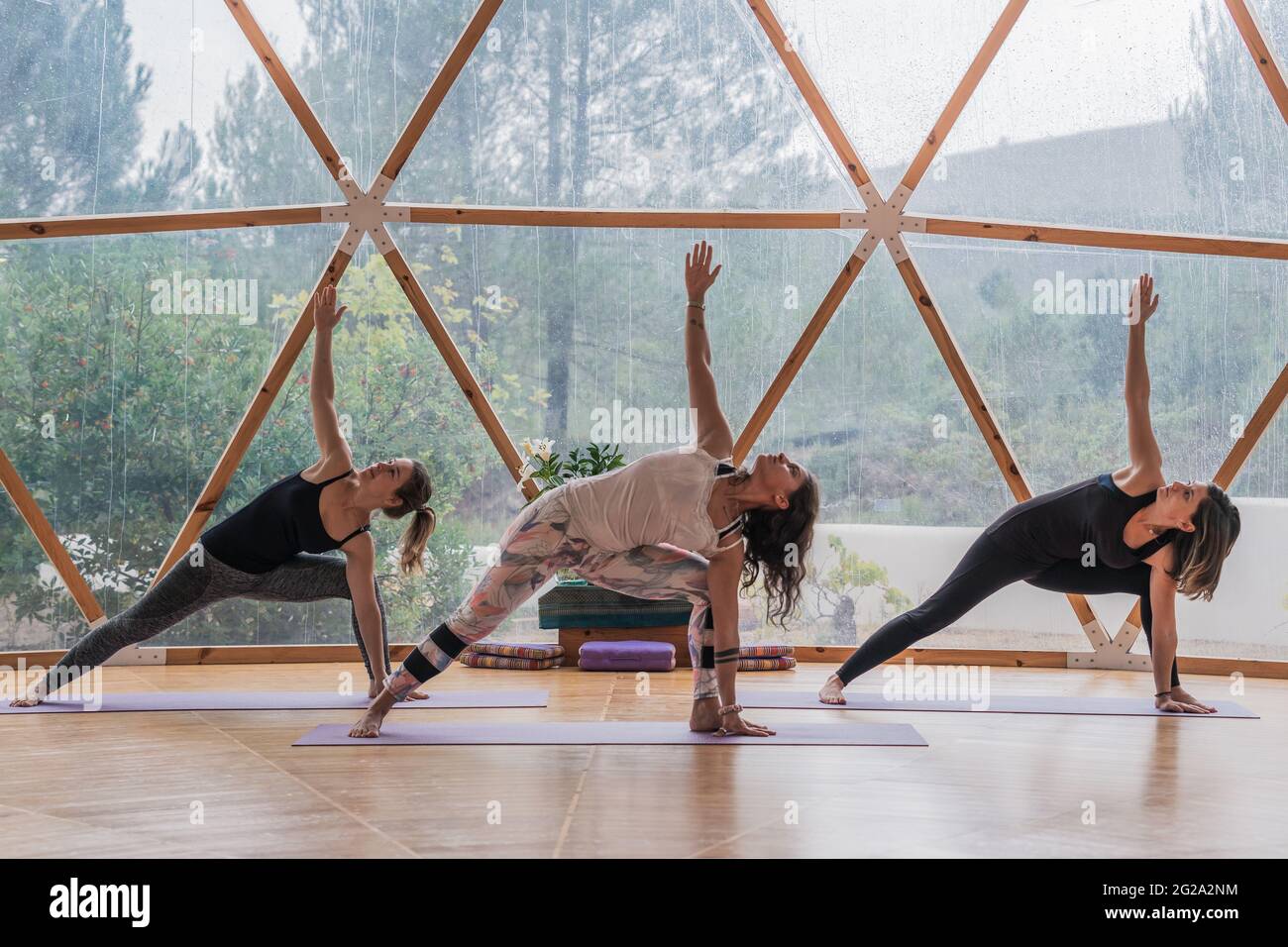 Side view of balanced calm women concentrated on stretching and raising ...