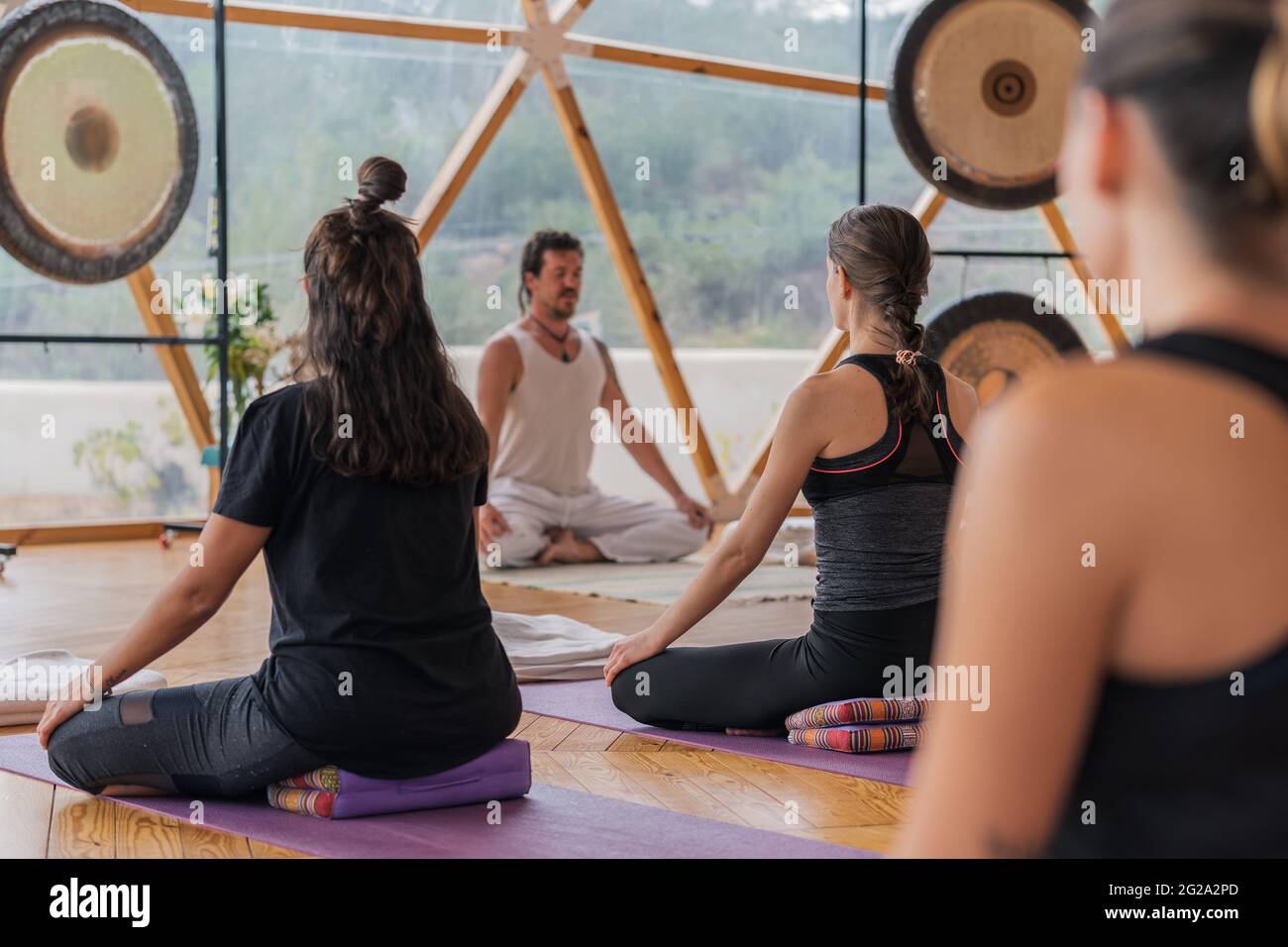 Back view of concentrated group of people sitting in lotus posture and ...
