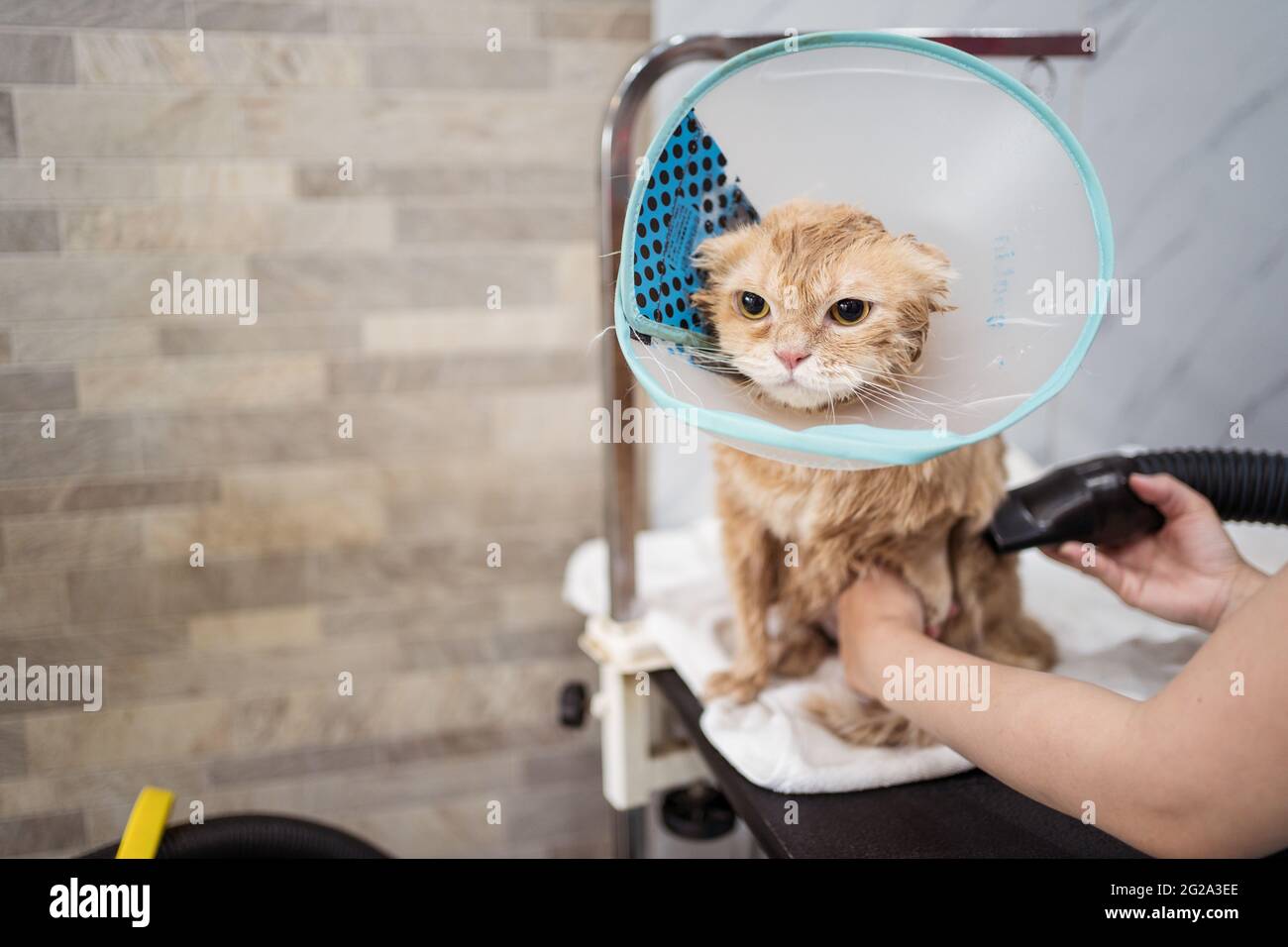 Unrecognizable female using hair dryer with long tube while drying calm ...