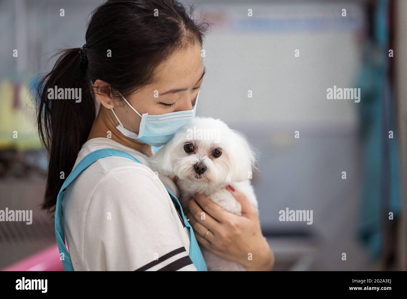 Side view of crop Asian veterinary employee in uniform and wearing face ...