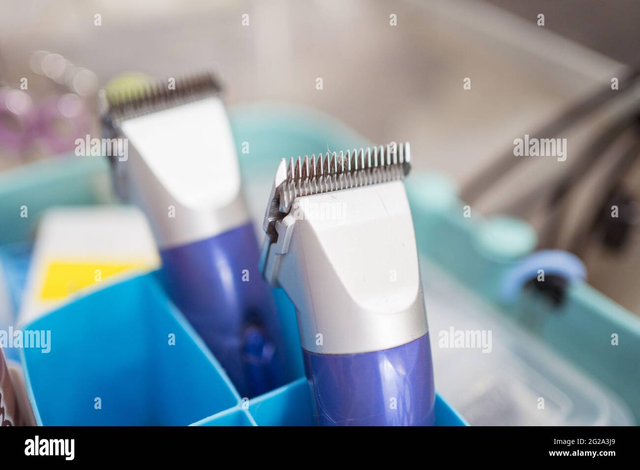 Grooming studio service hi-res stock photography and images - Alamy