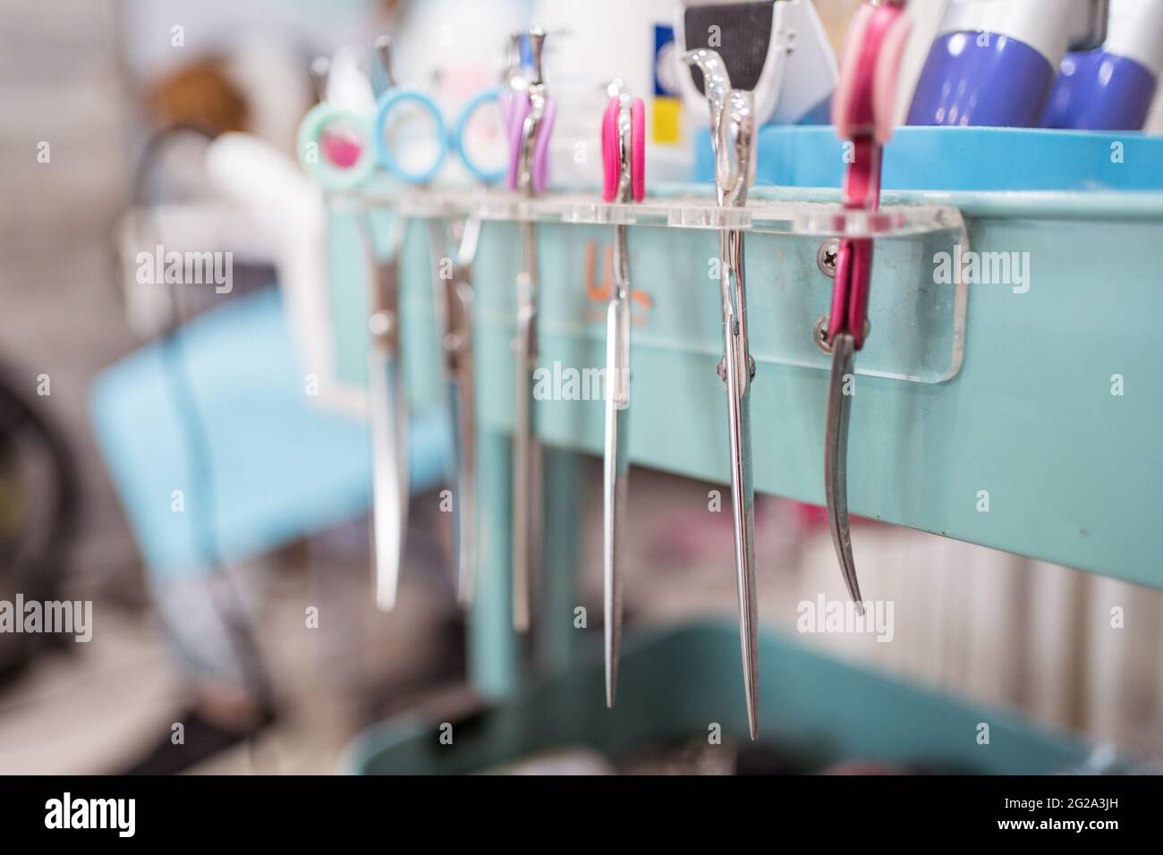 Veterinary vet tools hi-res stock photography and images - Alamy