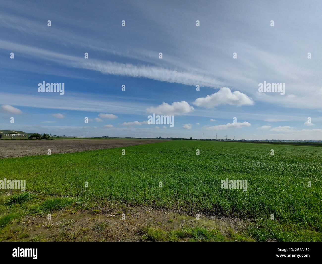 The lowest polder in the Netherlands Zuidplaspolder between Gouda and ...