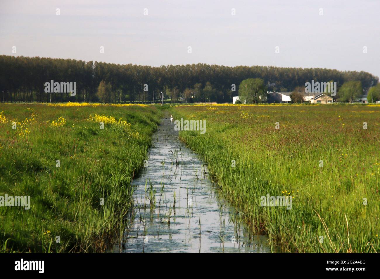 The lowest polder in the Netherlands Zuidplaspolder between Gouda and ...